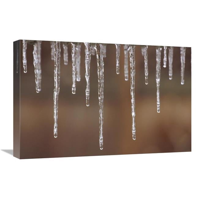16 x 24 in. Single Strand of Icicles Melting, North America Art Print ...