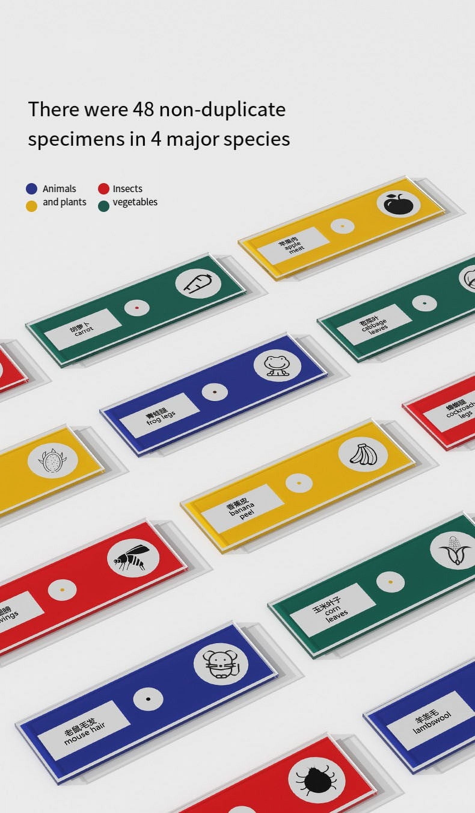 160-80X Pocket Microscope for Children Kids Science Toy Kit Educational ...