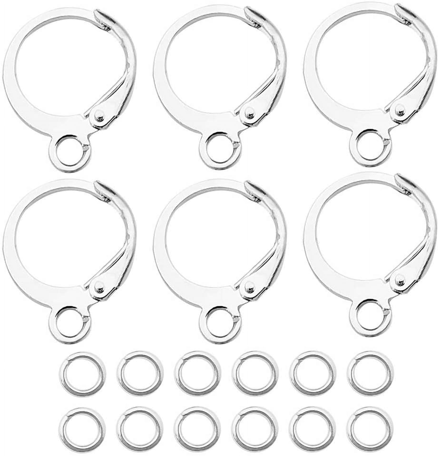 160 pcs Leverback Hooks Set 60 Round Hypoallergenic Earring Hooks Lever ...