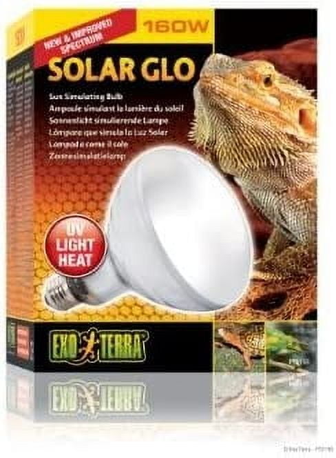160-watt Exo Terra Solar-Glo High Intensity Self-Ballasted Uv/Heat Mercury Vapor Lamp, vapor ...