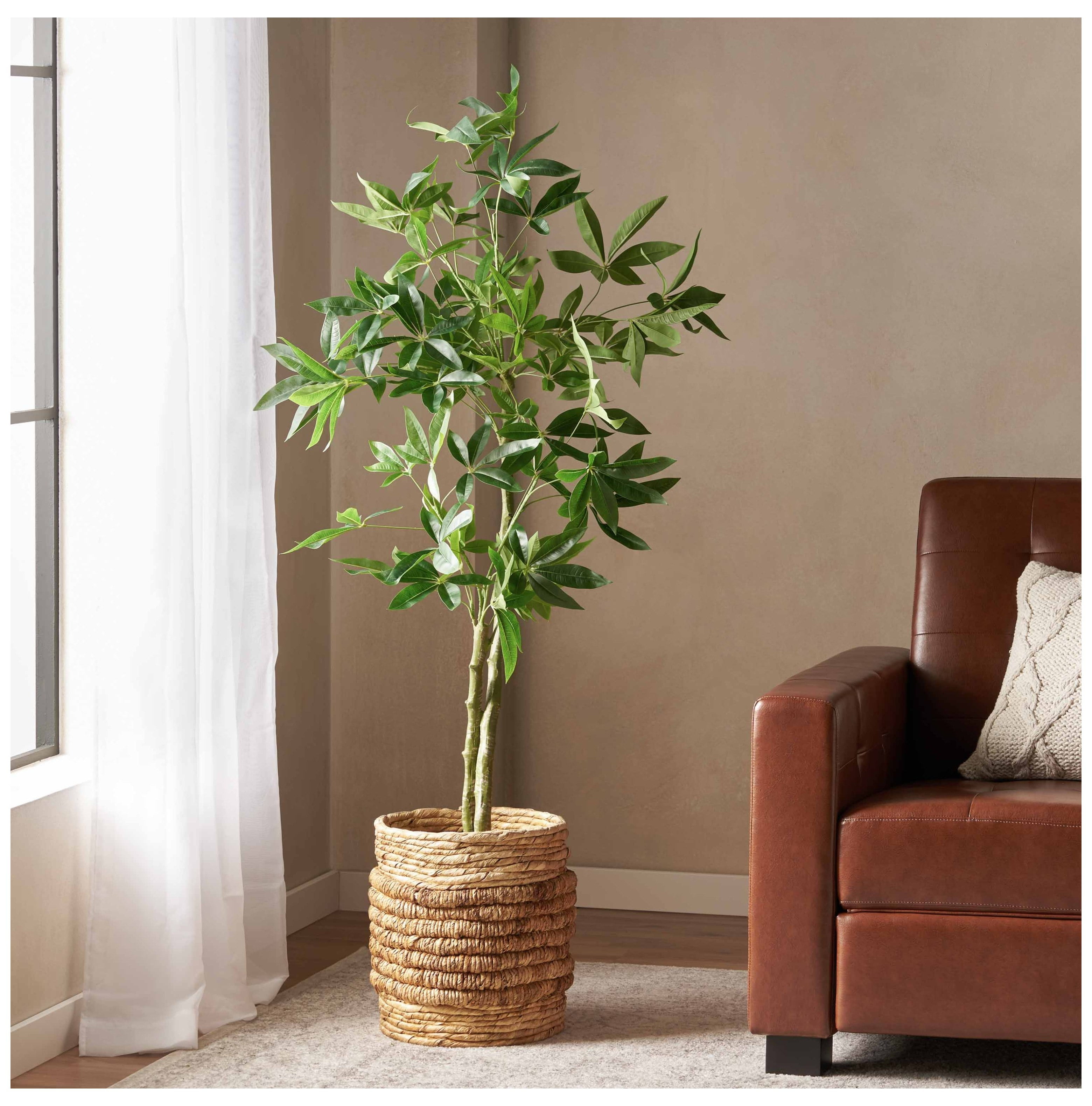 160CM Artificial Pachira Macrocarpa Money Tree - Pre-Potted Faux Plant ...