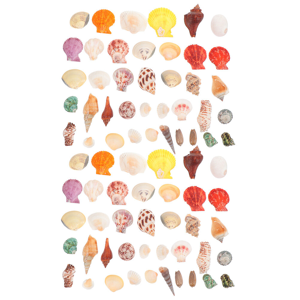 160Pcs Hermit Crab Shells Natural Shells Crafts Delicate Conch ...