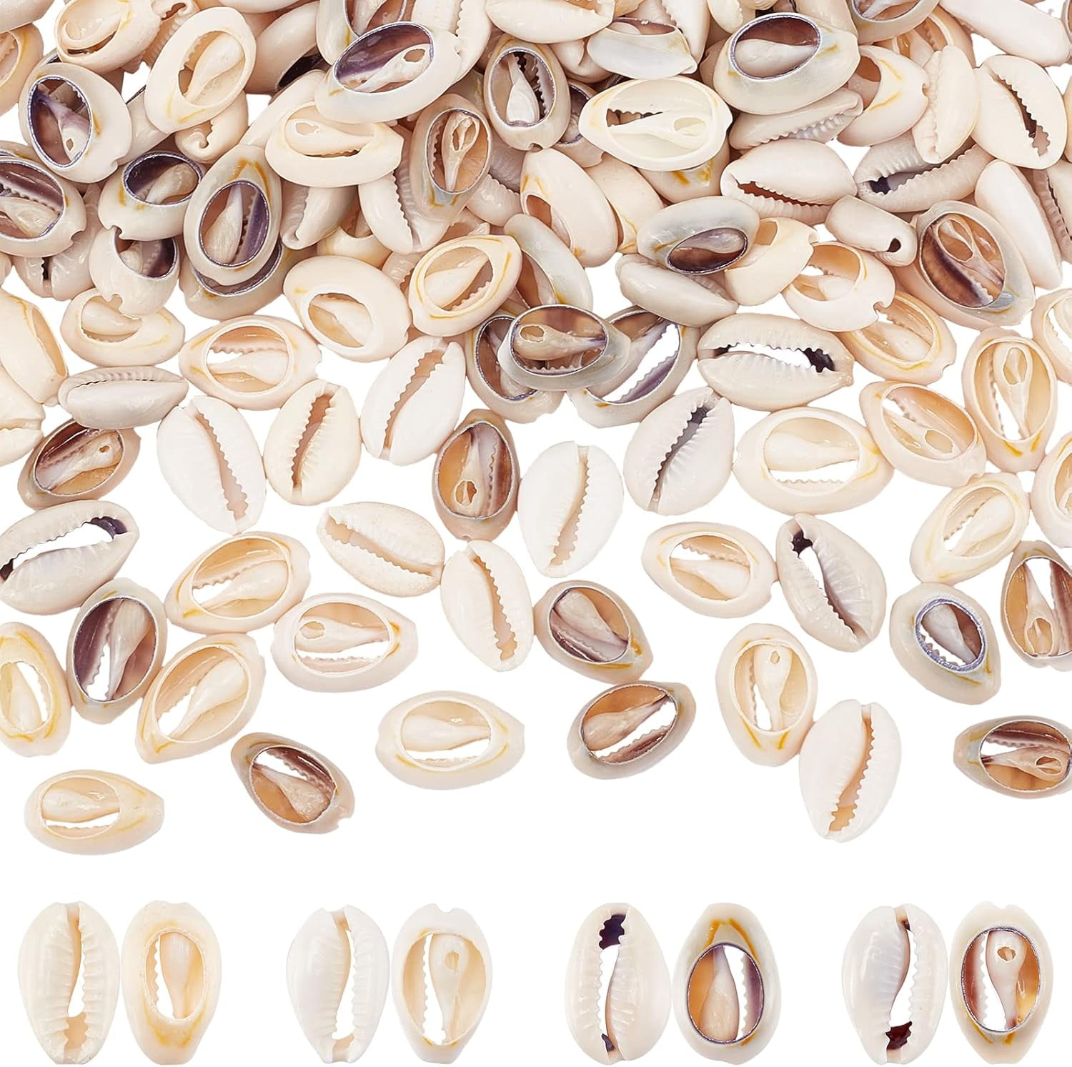 160pcs Spiral Seashell Beads Beach Cowrie Shells Large Oval Seashells ...