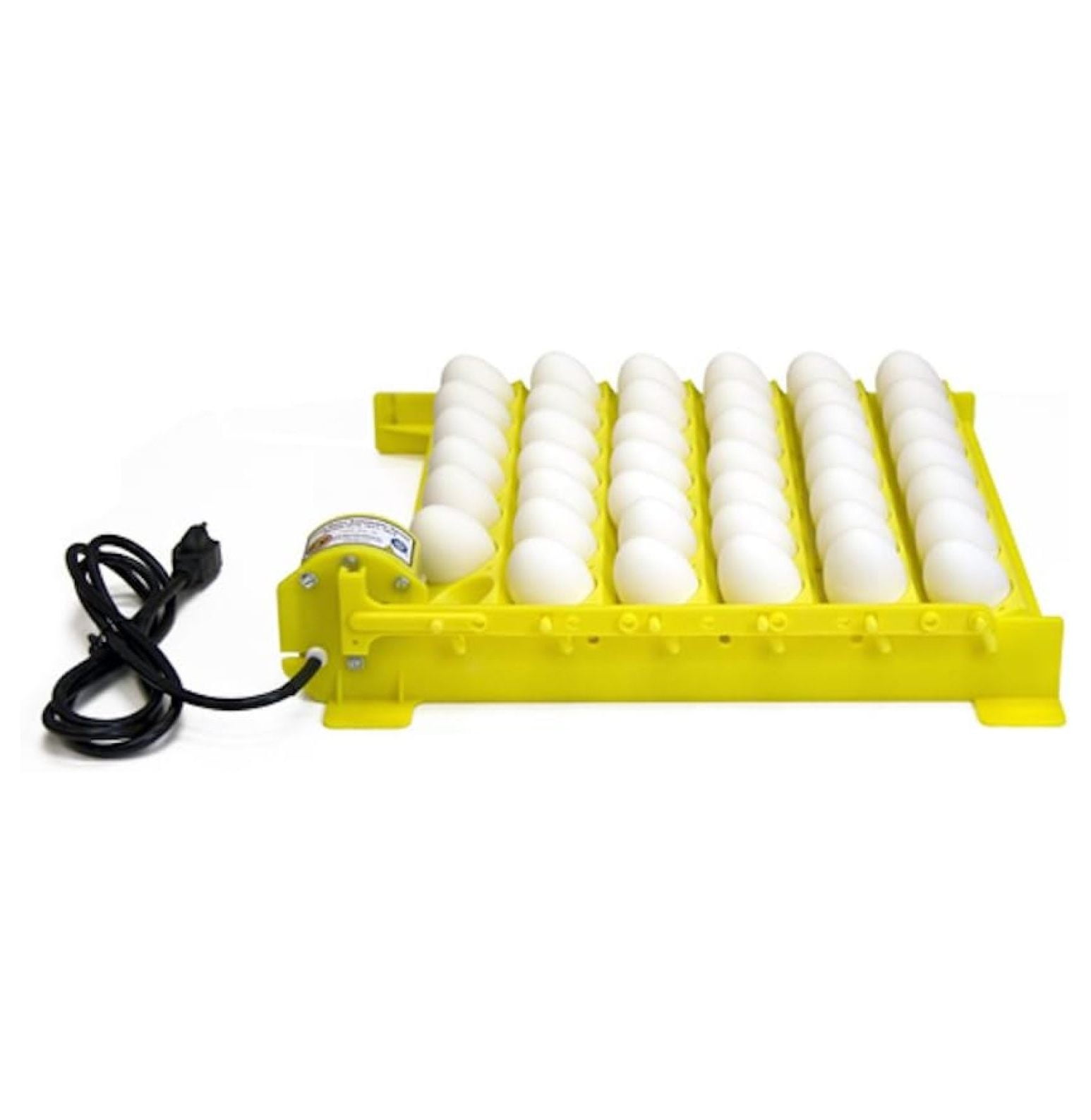 1611 Hova-Bator with 6 Universal Egg Racks - Walmart.com