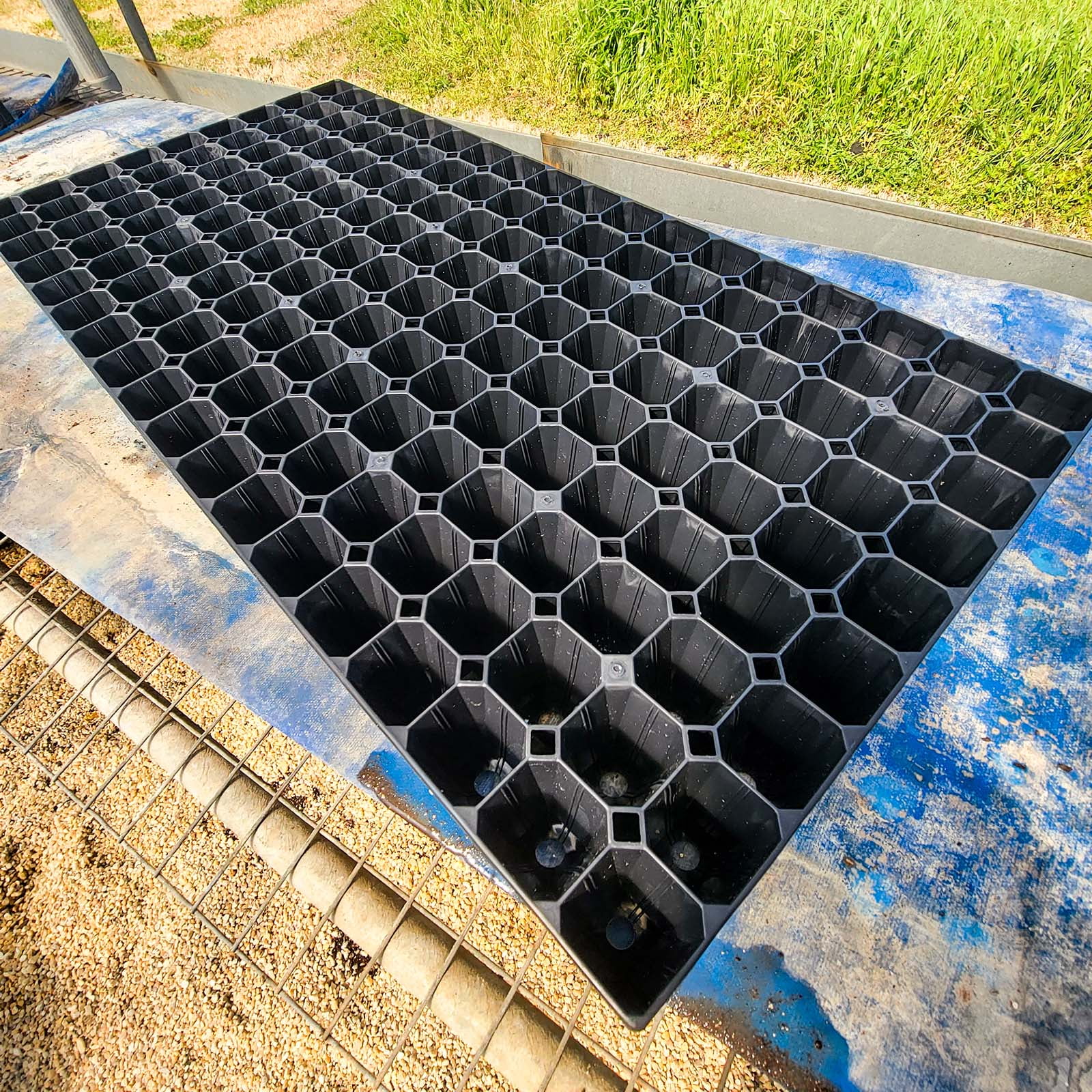 162-Cell Seed Starting Tray | Heavy- Duty Seed Starting Tray | USA MADE ...