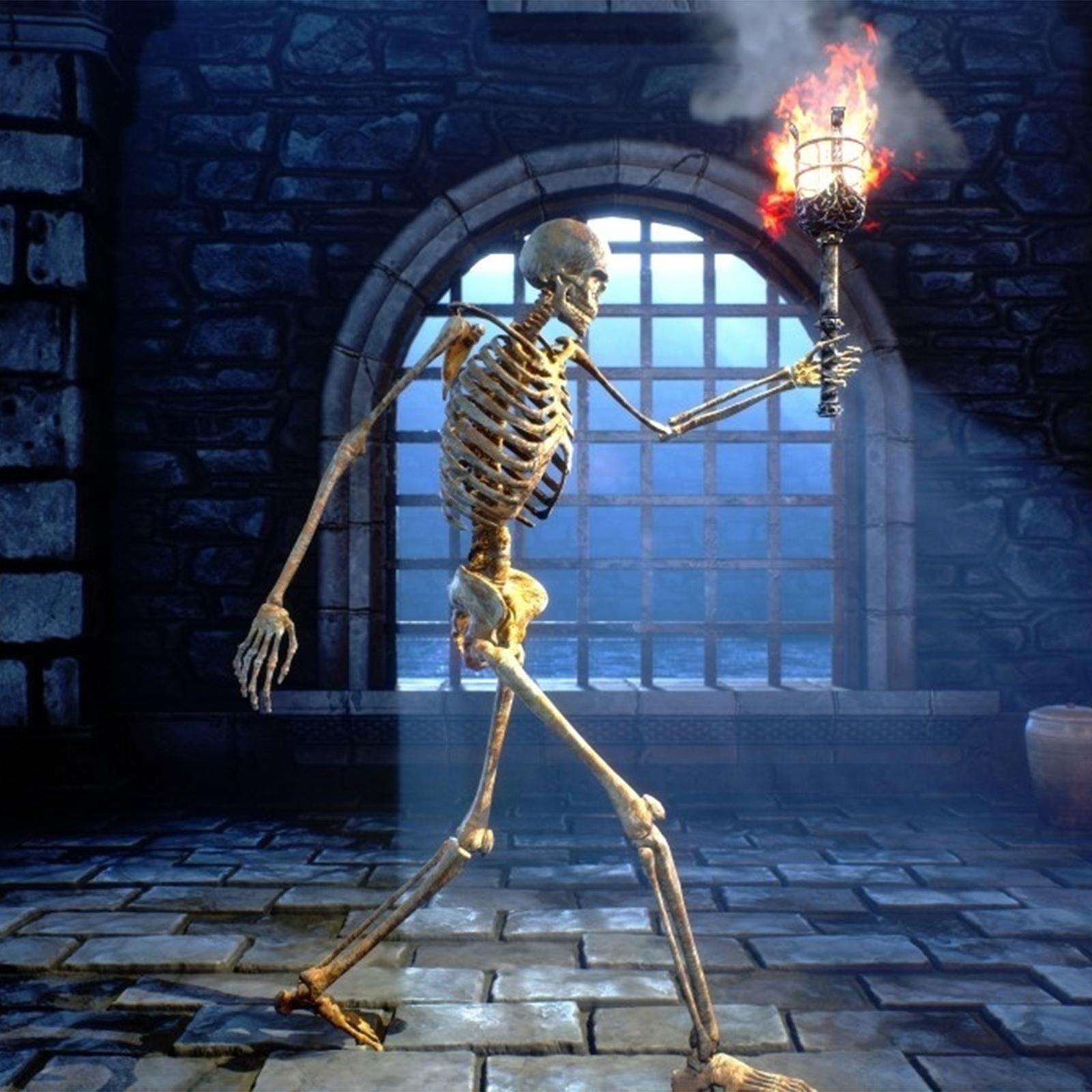 165cm Plastic Halloween Skeleton Decoration Joints Can be Suspended ...