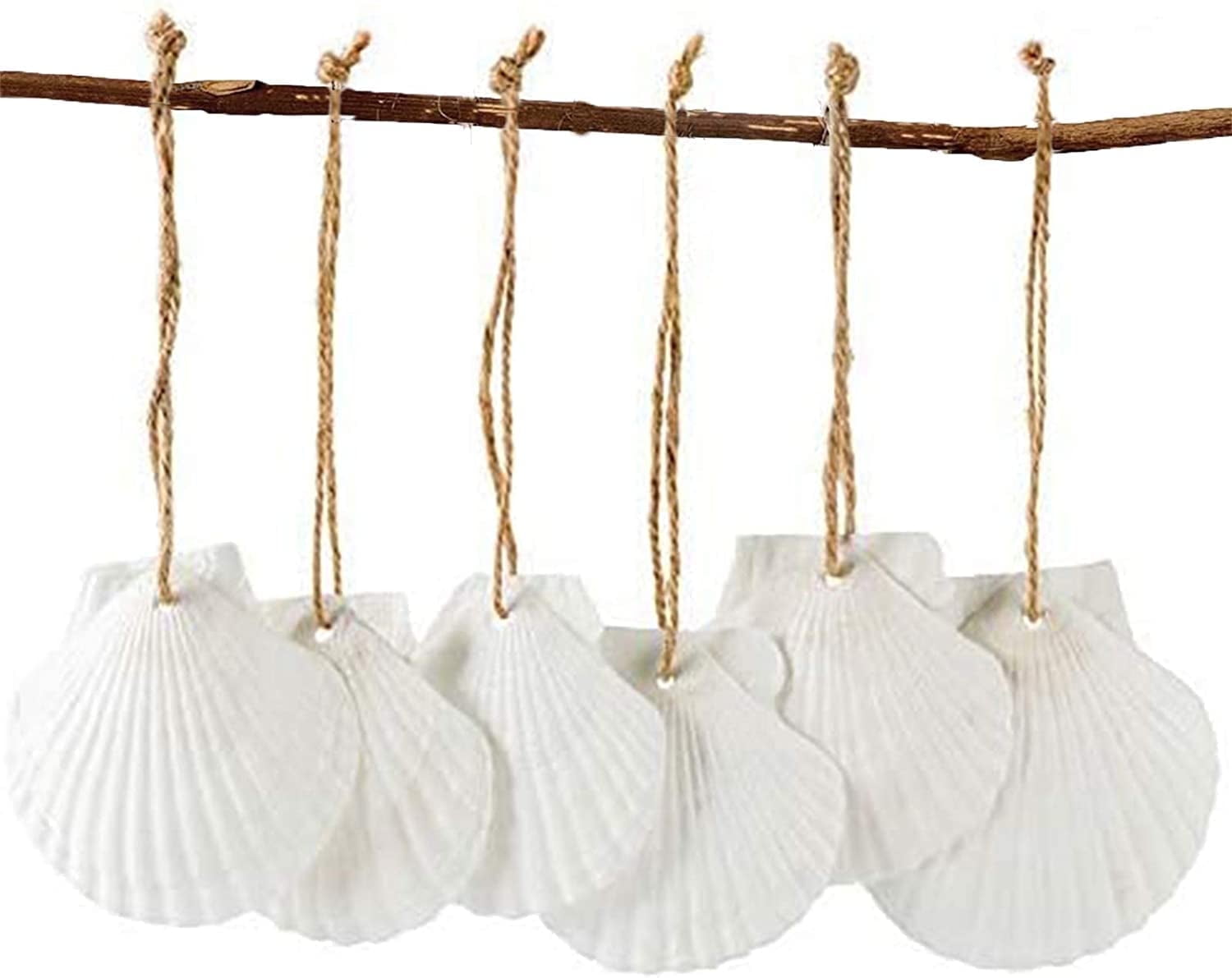 Sinkoo 16 Pcs Sea Shells Christmas Tree Ornaments, 2.5"-3.5" Natural ...