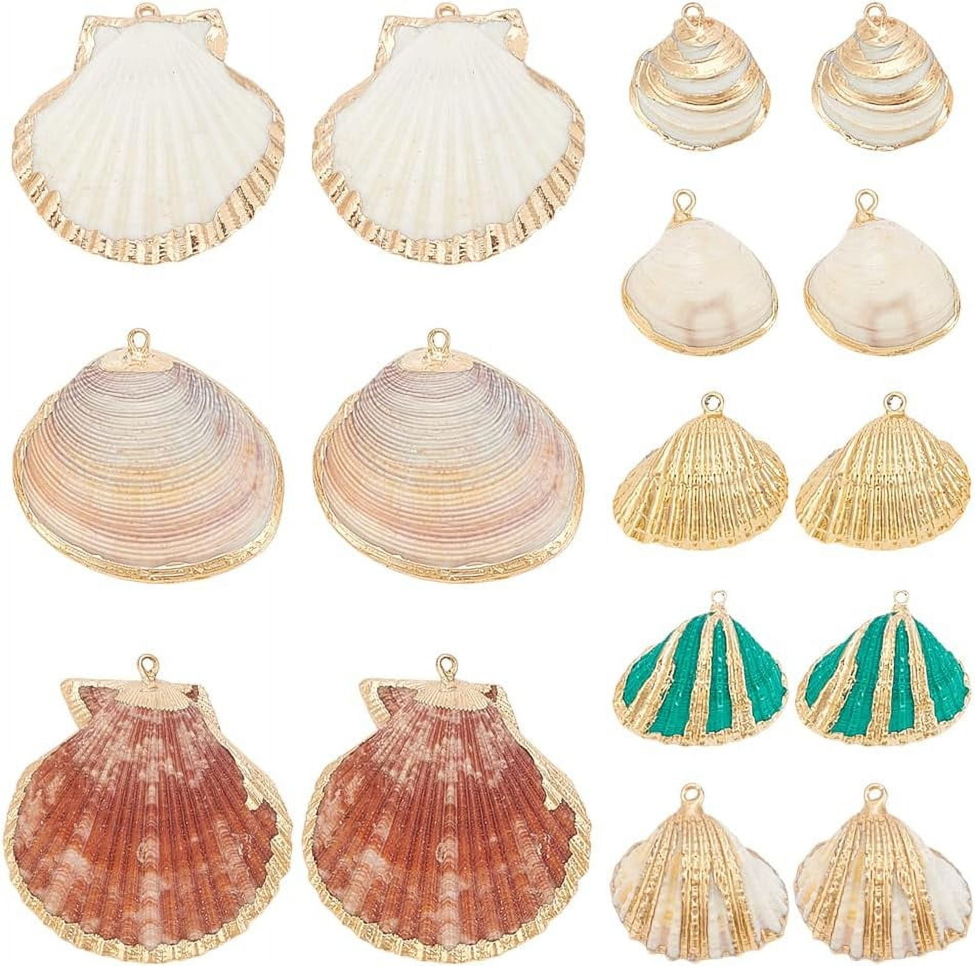 16Pcs Natural Shell Pendants 8 Styles Scallop Pendants Dyed Beach ...