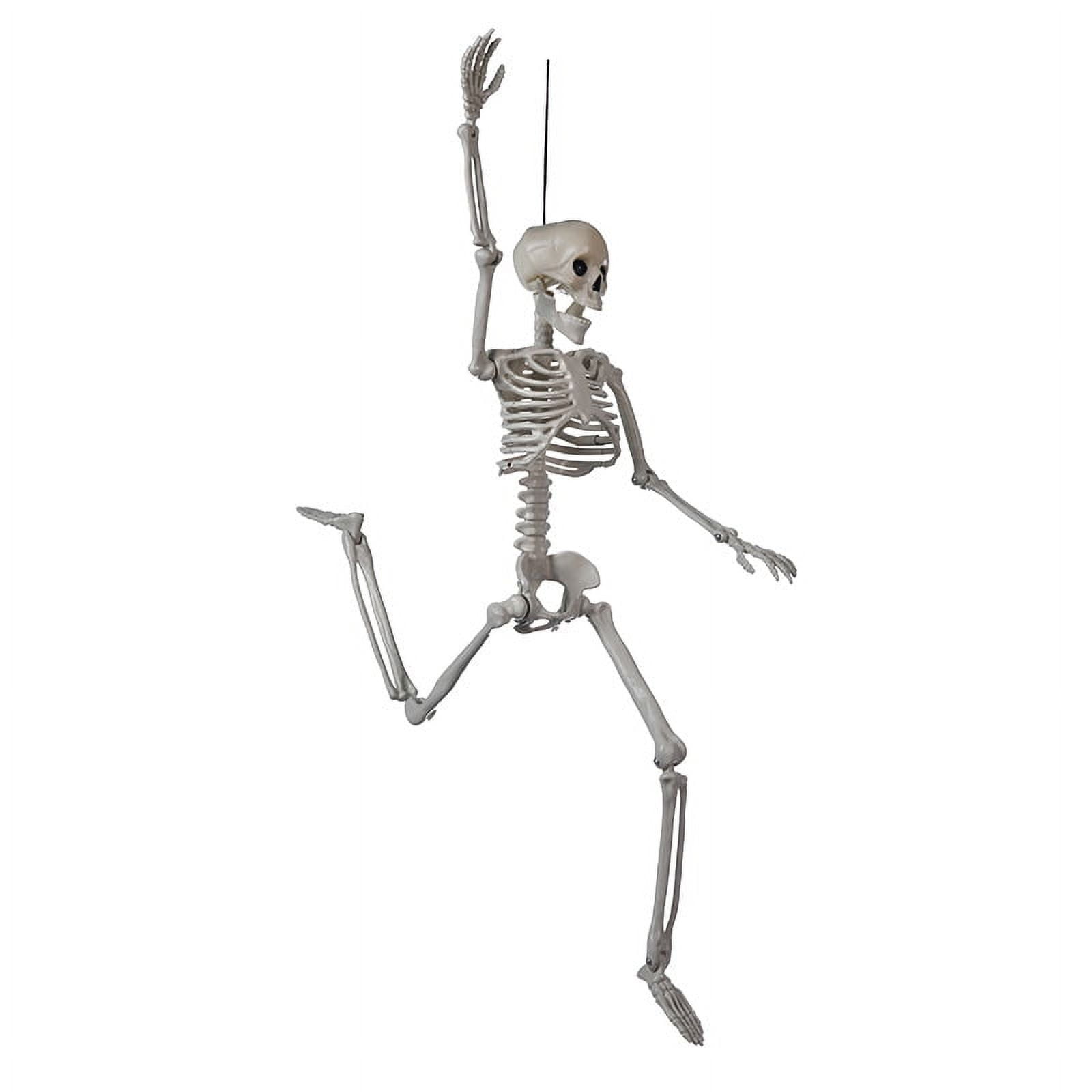 16in Skeleton Halloween Outdoor Decorations, Realistic Full Body Joints ...