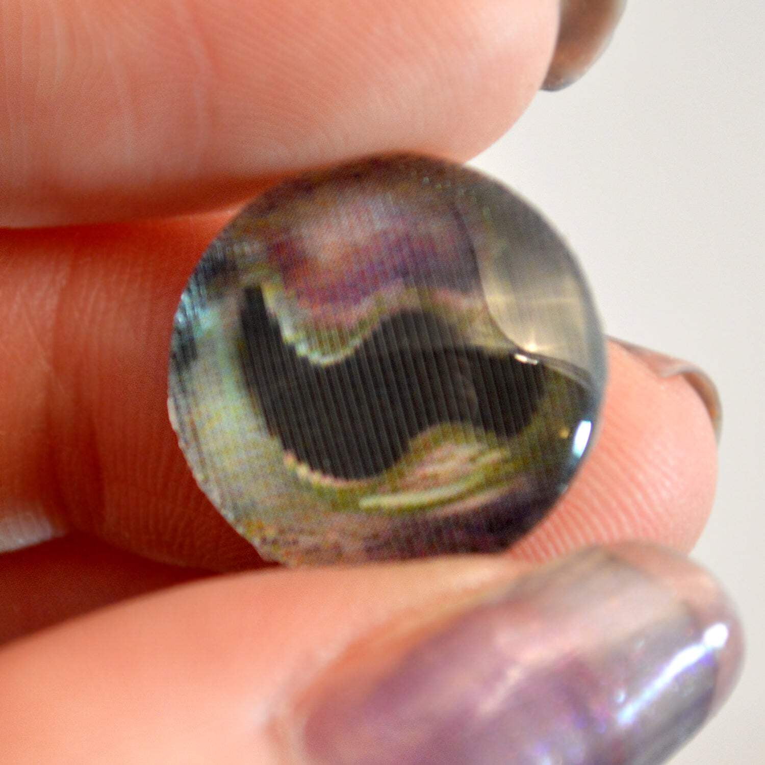 16mm Color Changing Animated Cuttlefish Glass Eyes - Walmart.com