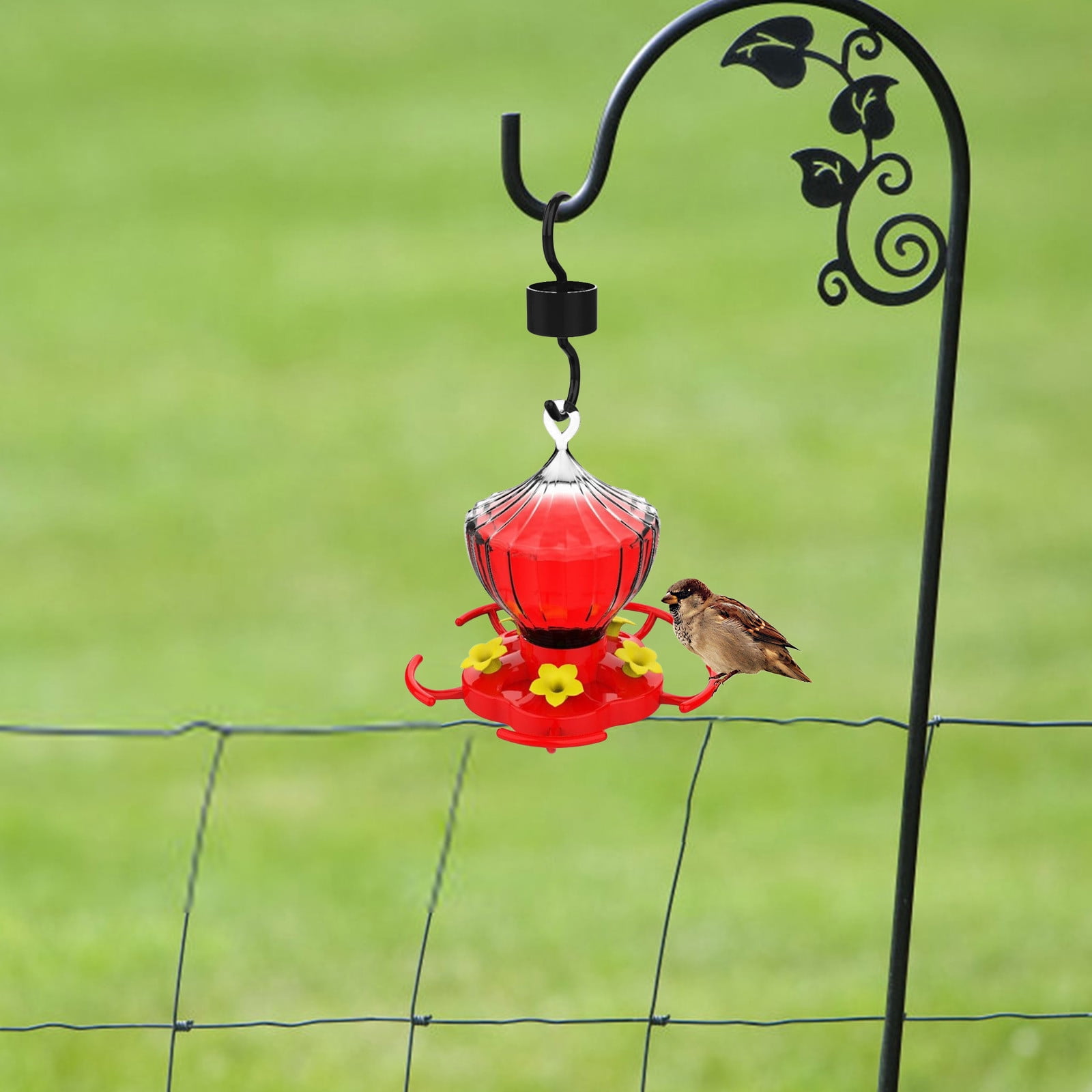 16oz Hummingbird Feeder, Leak-Proof Outdoor Feeder, 5 Flower Ports ...