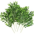 16pcs Italian Ruscus Greenery Stems, 27.6in Artificial Green Leaf ...