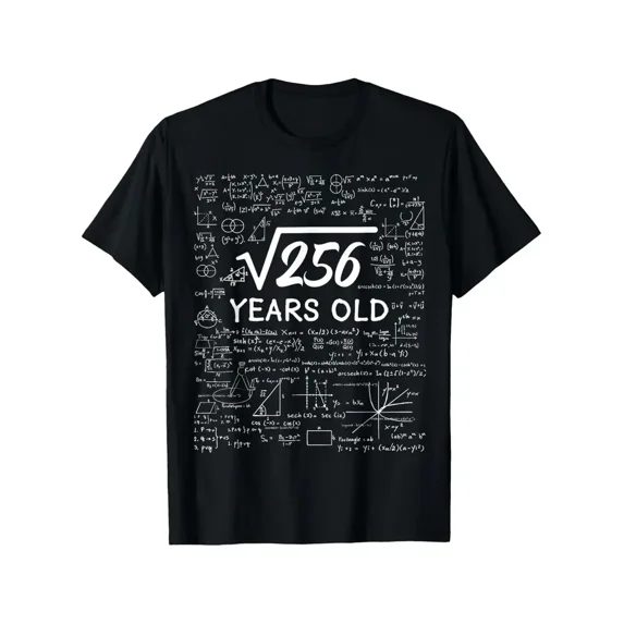 16th Birthday Math-Themed T-Shirt - Funny "256 Years Old" Design with ...
