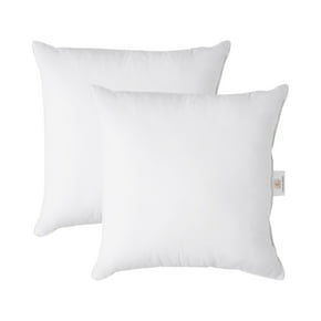 Pillow Inserts 16 X