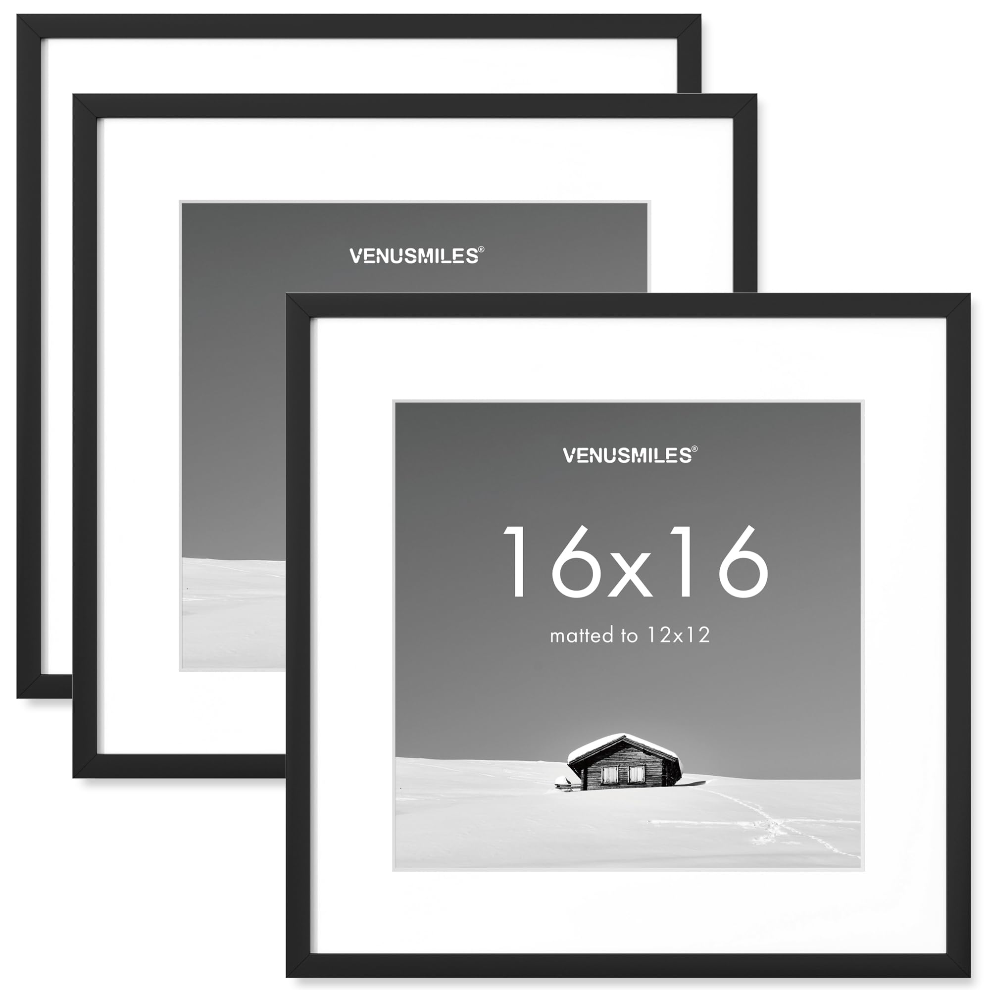 16x16 photo frame with removable mat, crystal clear plexiglass, dual ...