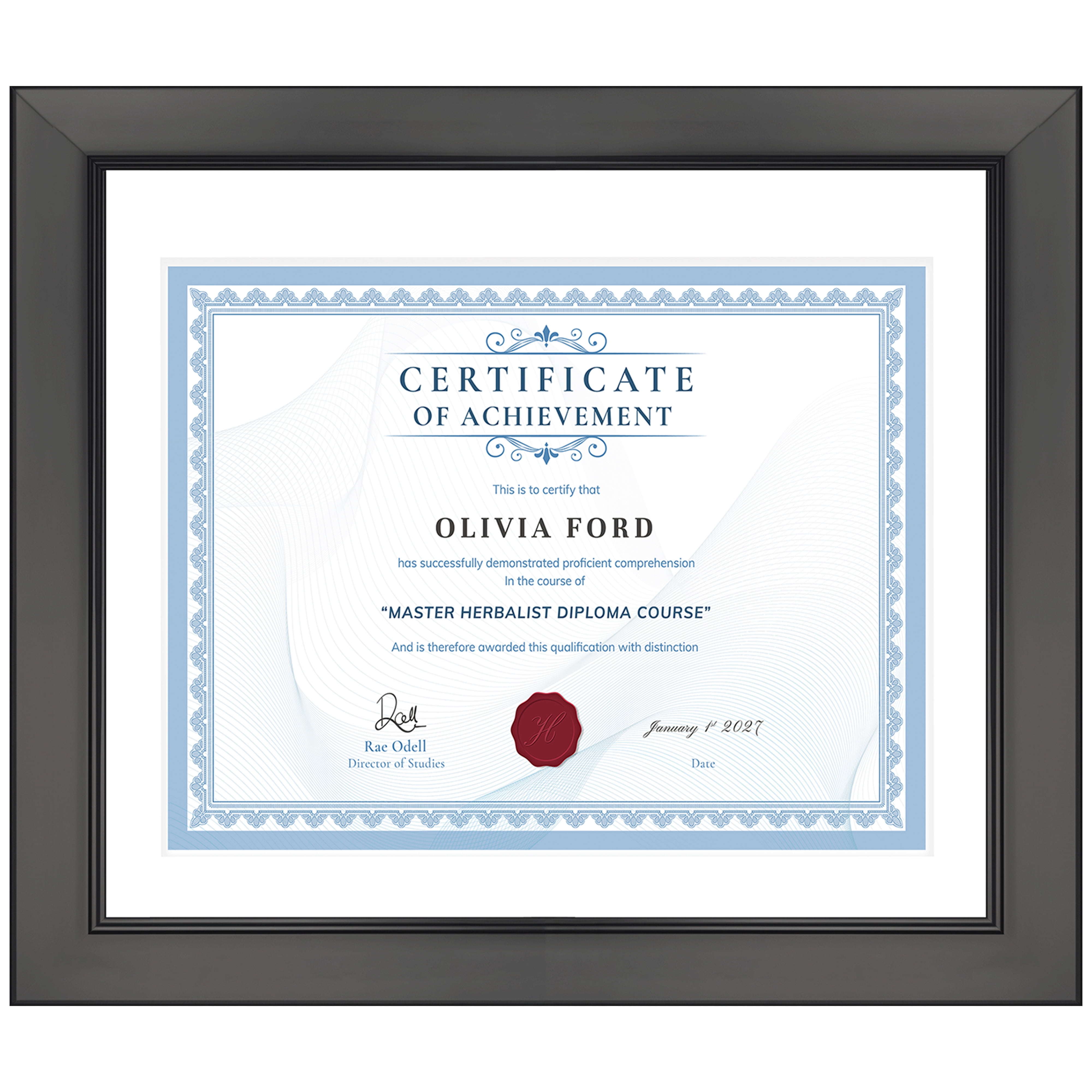 16x19 Black Diploma Frame - White on White Double Mat - Displays 12x15 ...