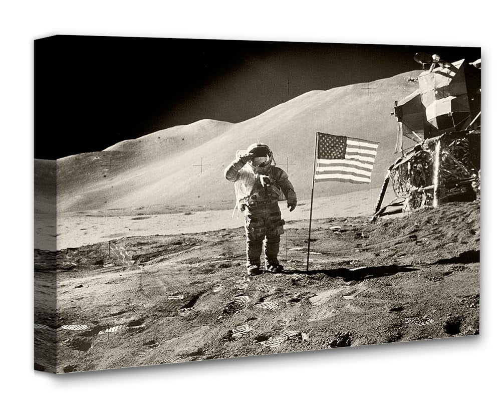 16x20 Apollo 11 Moon Landing Canvas Art, NASA Astronaut Saluting Flag ...