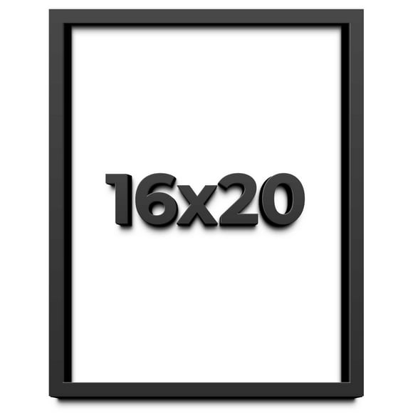 16x20 Shadow Box Frame
