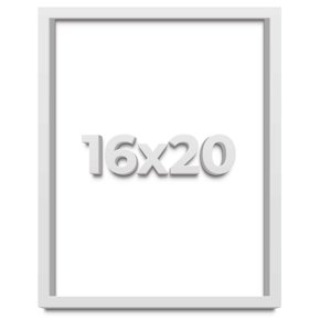 16x20 Shadow Box Frame