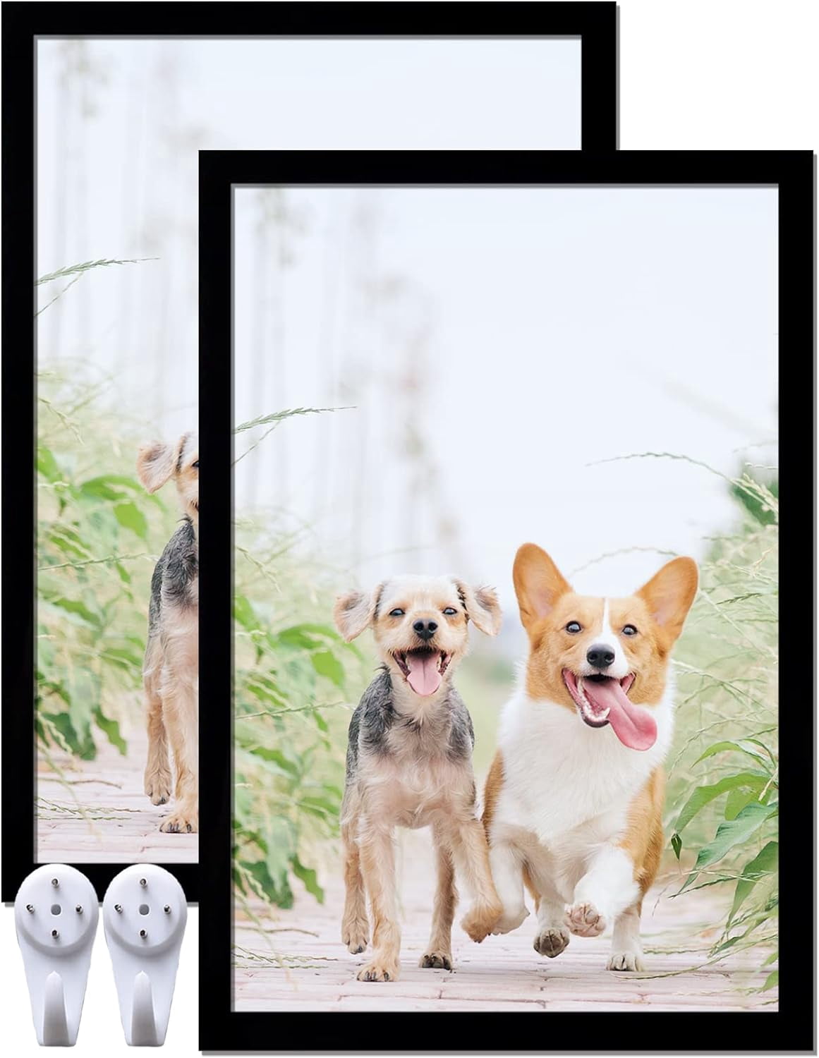 16x24 Picture Frame Set of 2, Black Photo Frames High Transparent Wall ...