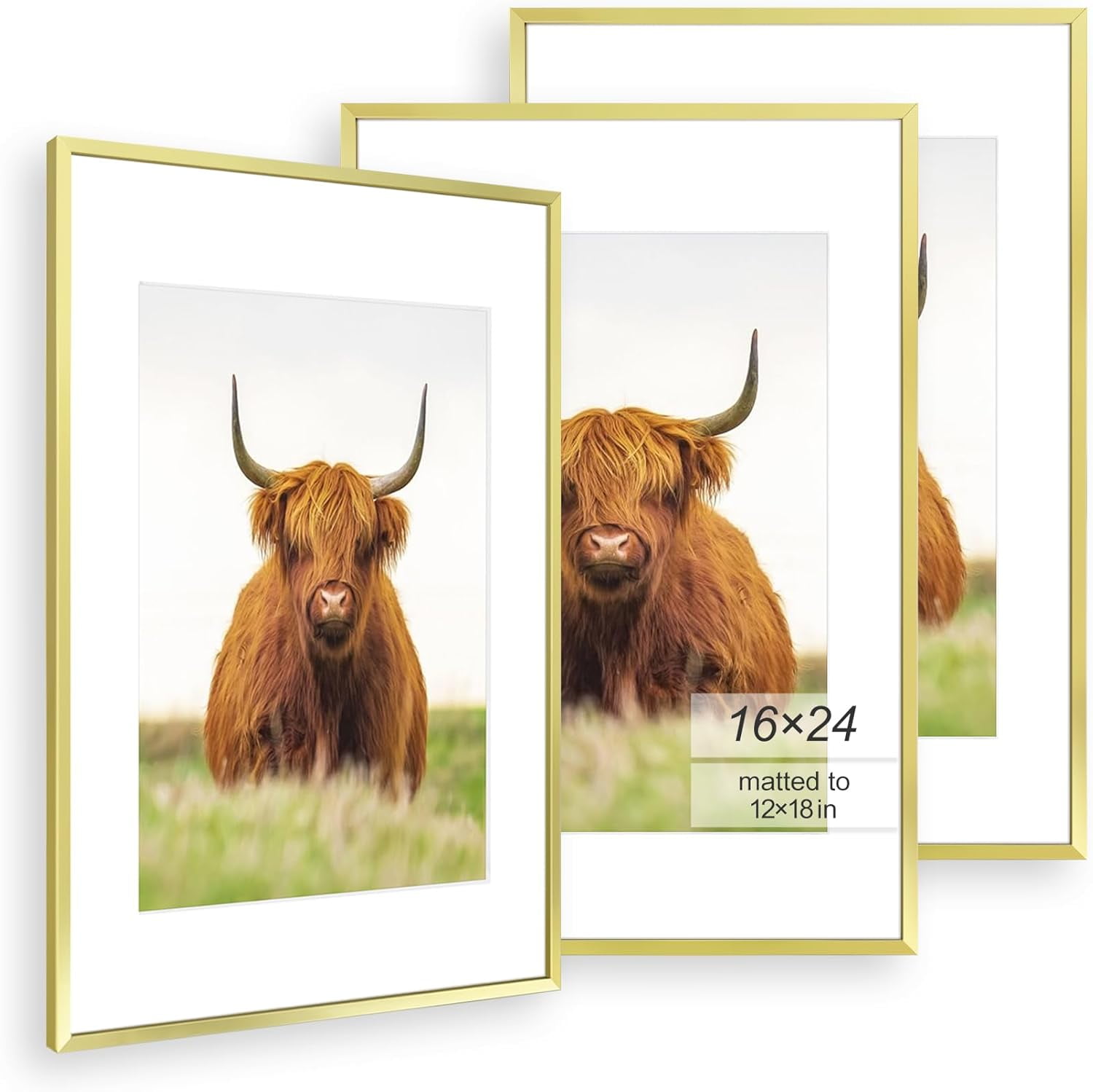 16x24 Picture Frame Set of 3, Gold Thin Border, Display Photo 12x18 ...