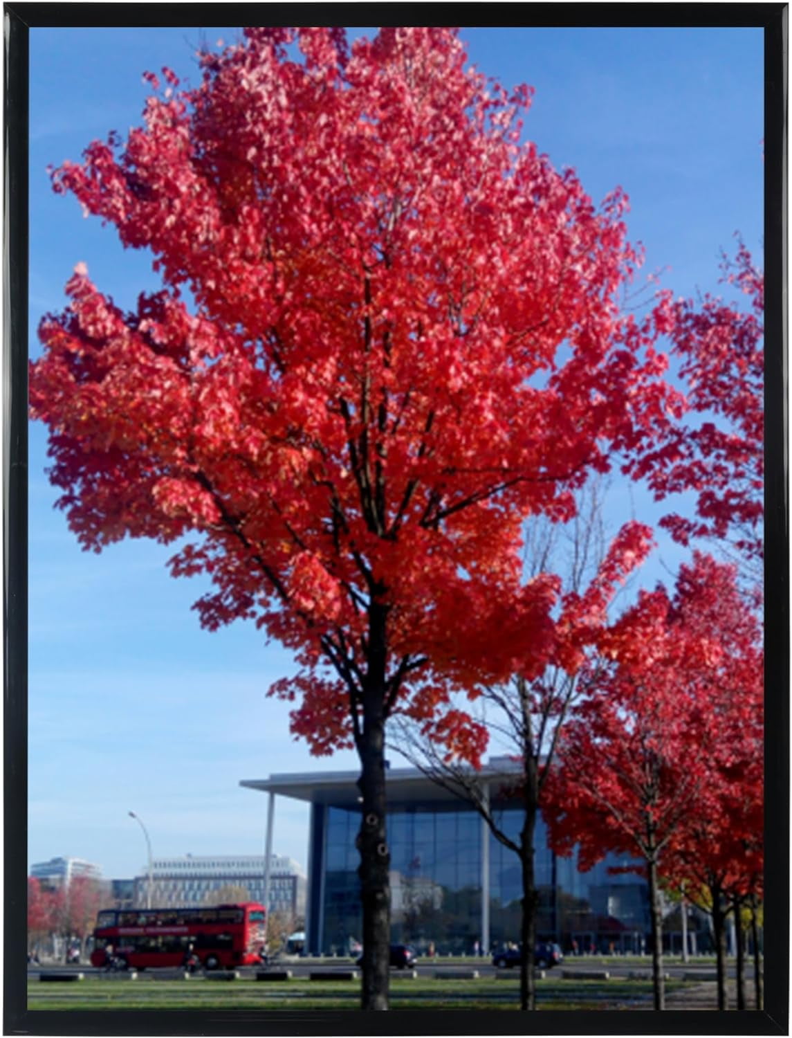 16x24 Poster Frame Black, Display Pictures 16x24 Picture Frame, Studio Gallery Frame, Wall ...