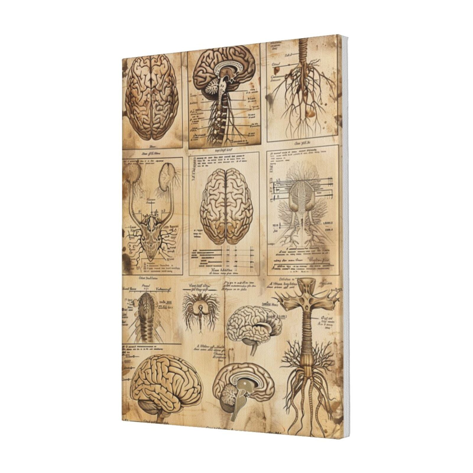 16x24 inch Canvas Hanging Picture Guide To Understanding The Human ...