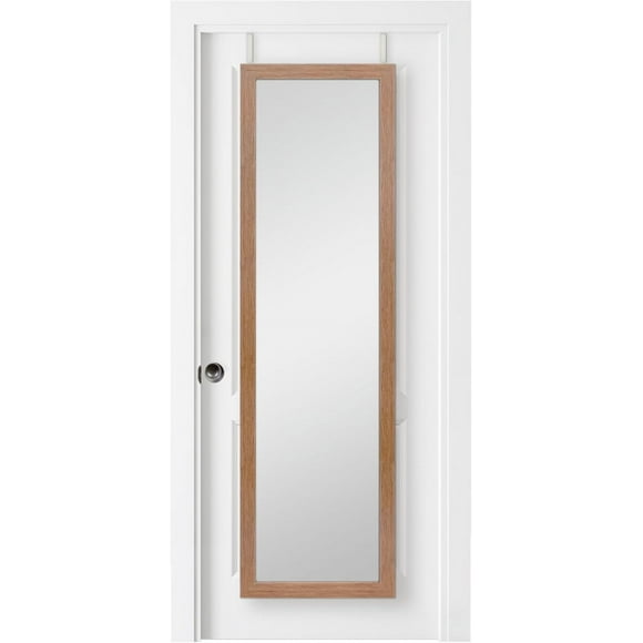 Door Hanging Mirror Full Length