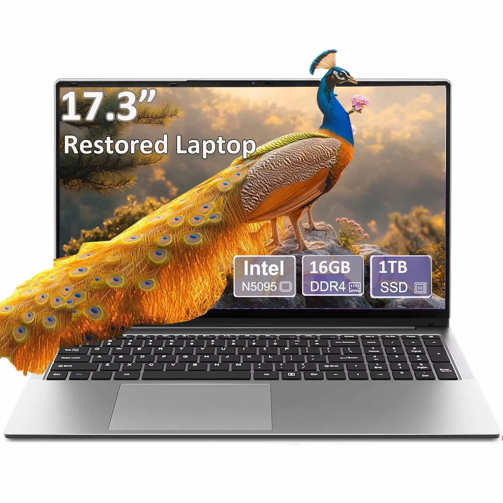 17.3" Business Laptop Computer Intel Quad-Core N5095 Processor 16GB RAM ...