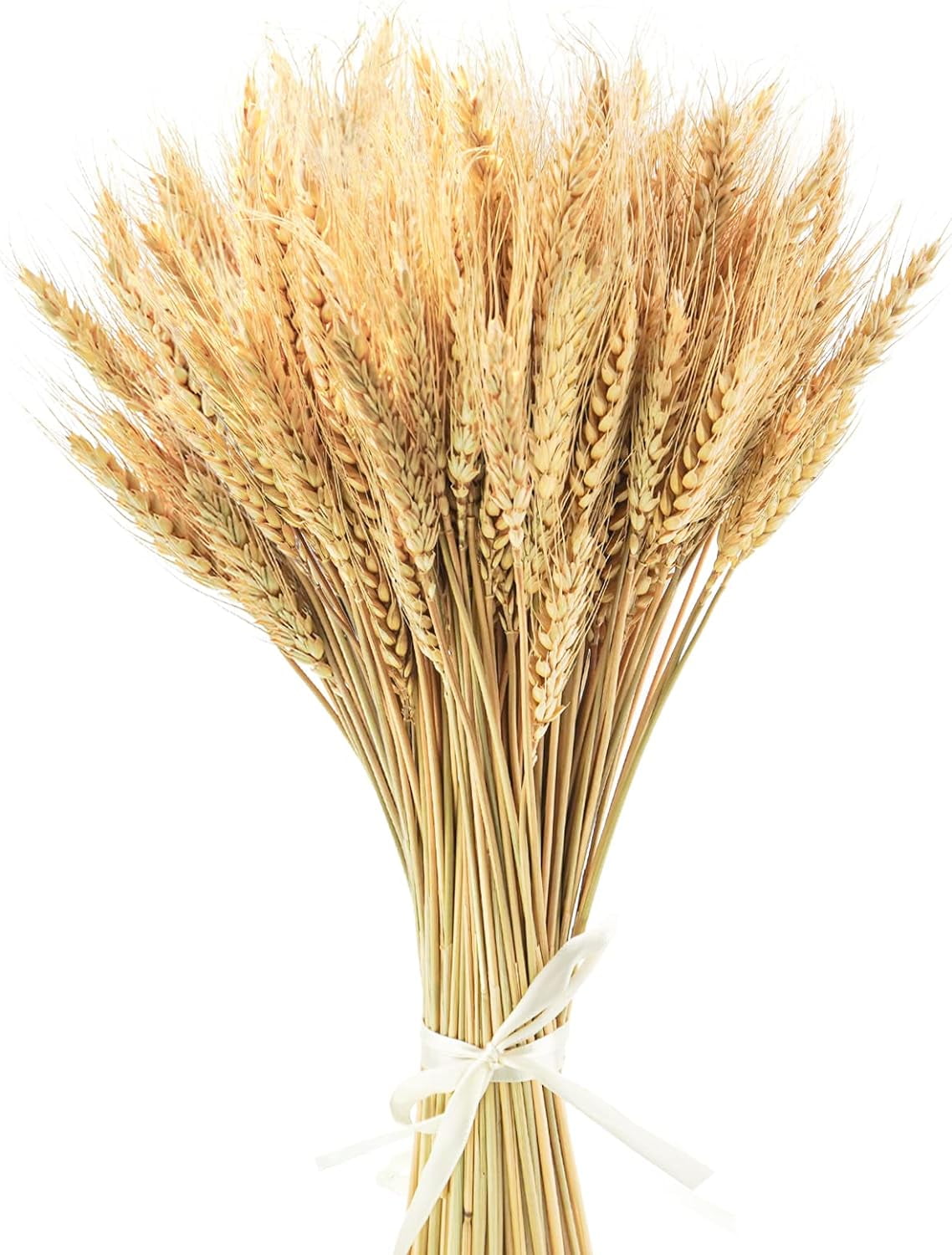 17.7 Inches Dried Wheat Stalks, 200 Stems Dried Flowers 100% Natural ...