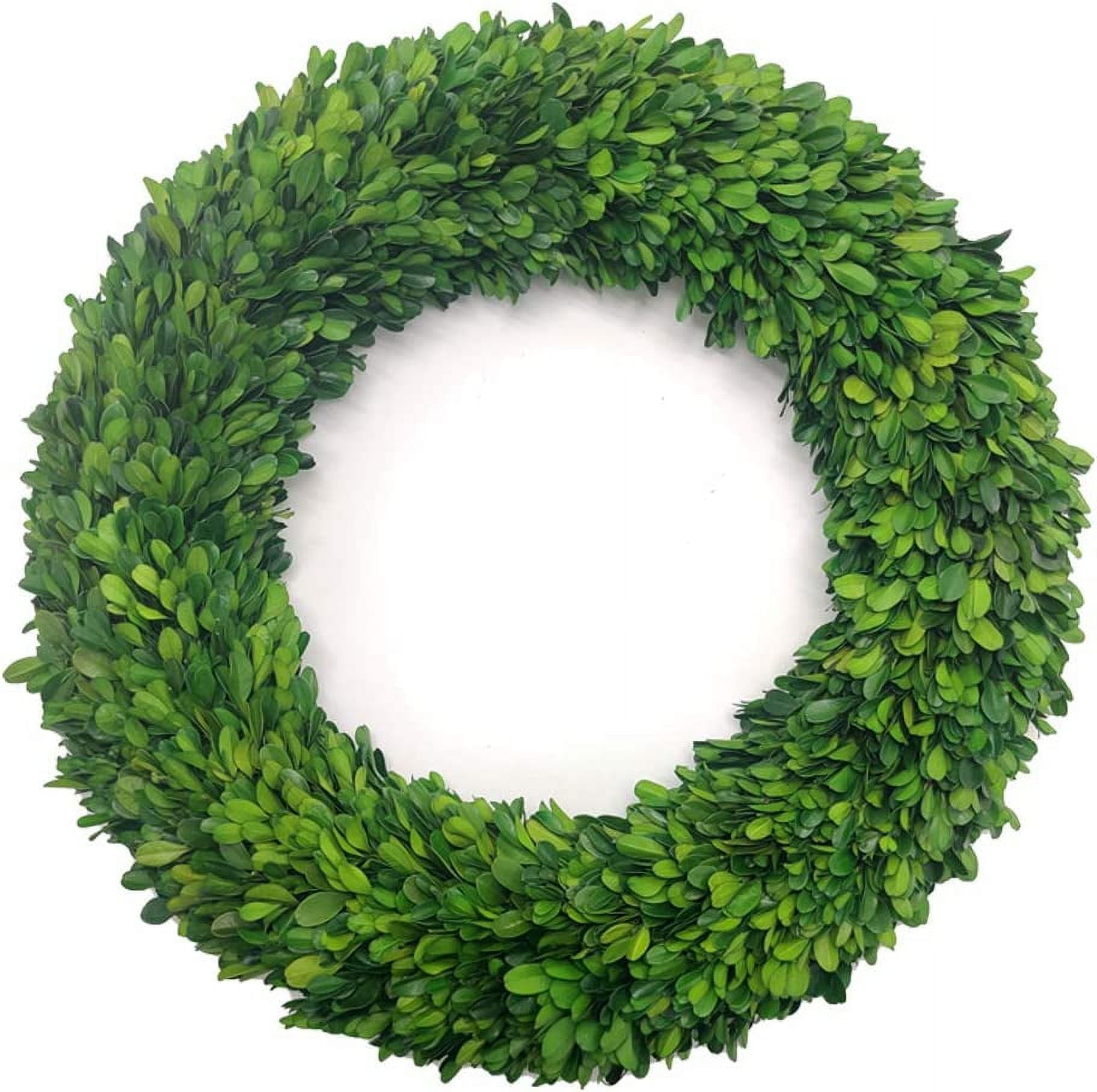 17 Inches Boxwood Wreath Preserved Green Leaves Wreath for Front Door ...