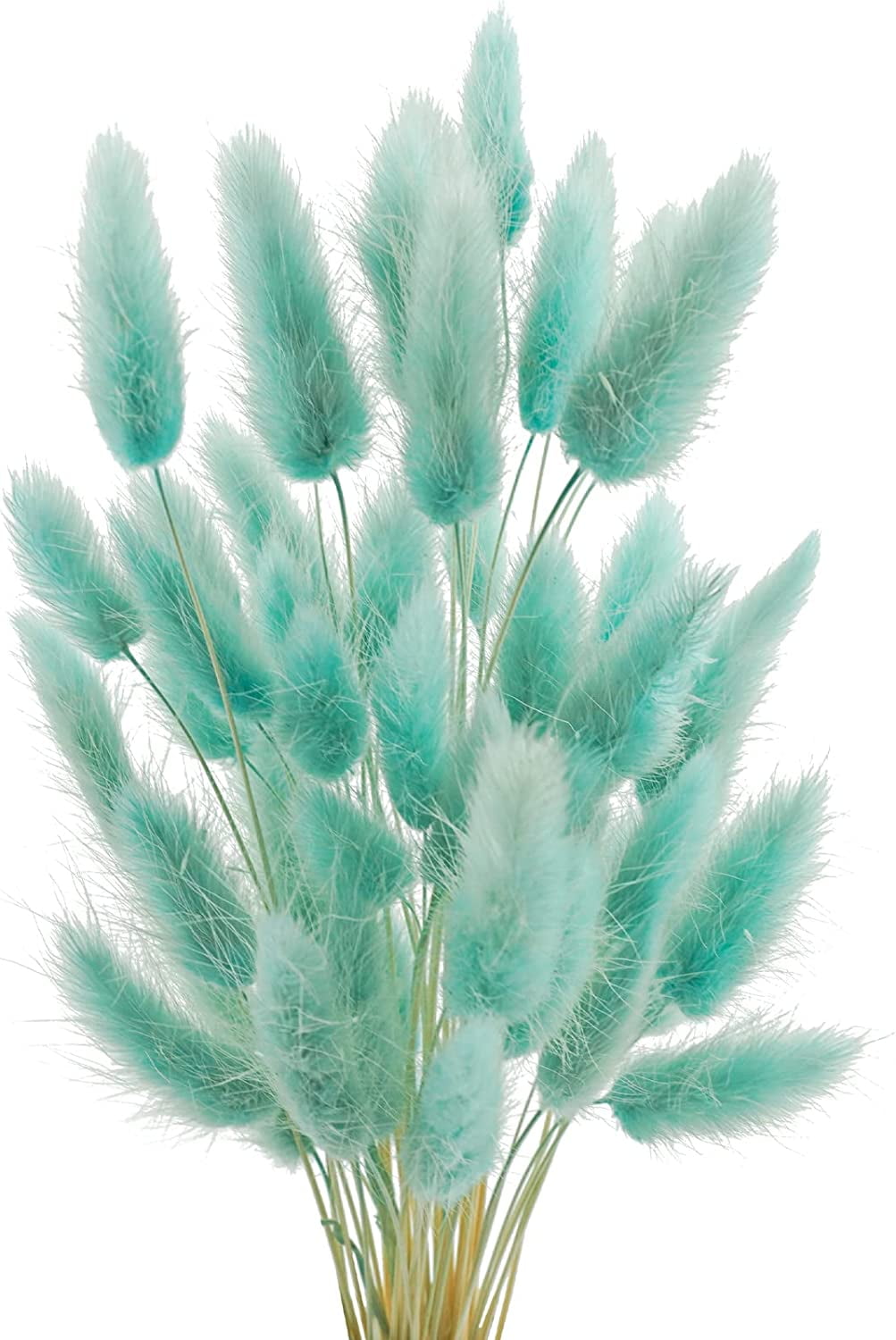 17’’ Natural Bunny Tails Dried Flowers, 50 Pcs Dried Lagurus Ovatus ...