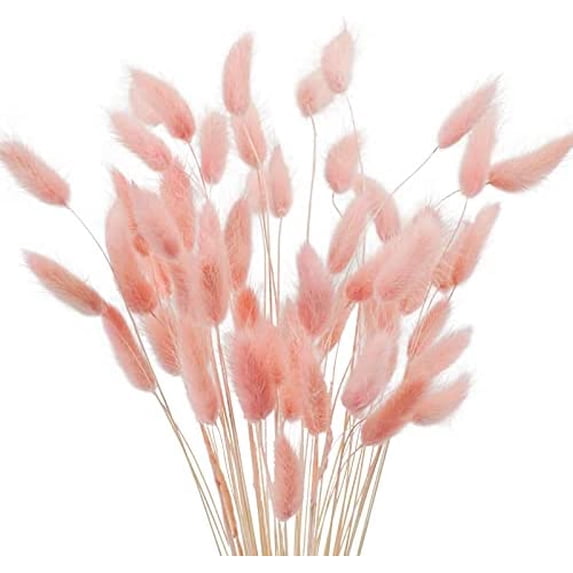 17’’ Natural Bunny Tails Dried Flowers, 50 Pcs Dried Lagurus Ovatus ...