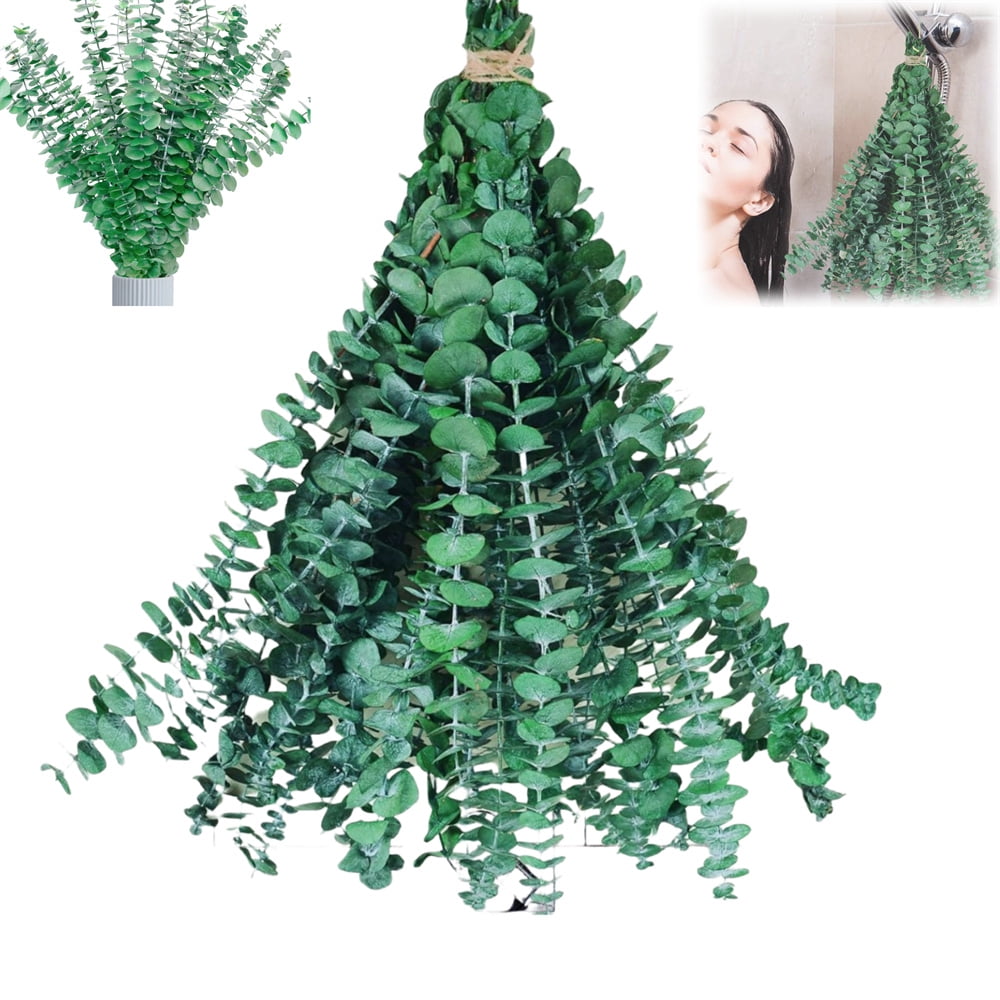 17"Natural Dried Eucalyptus,Preserved Green Eucalyptus Plant, Real ...