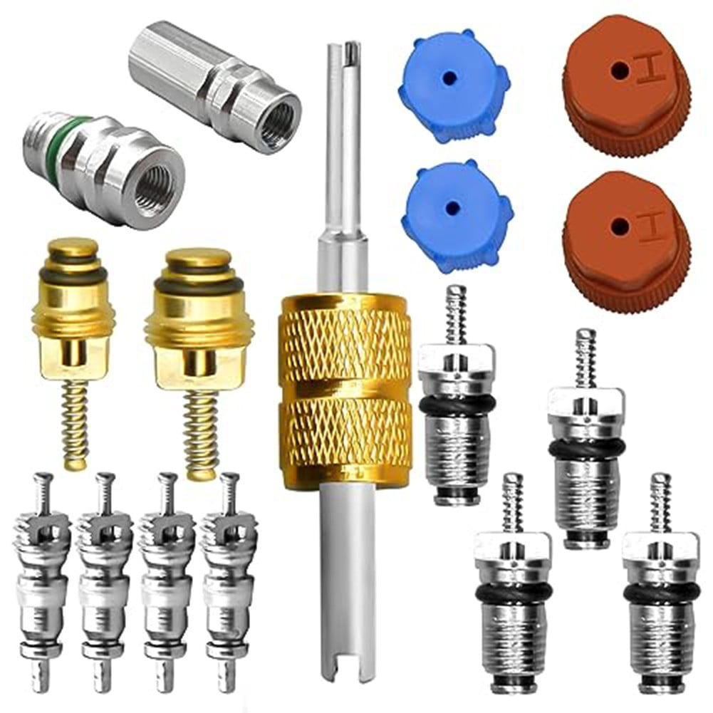 17 Pcs Air Conditioning Valve Core Kit R12 To R134A Conversion Kit ...