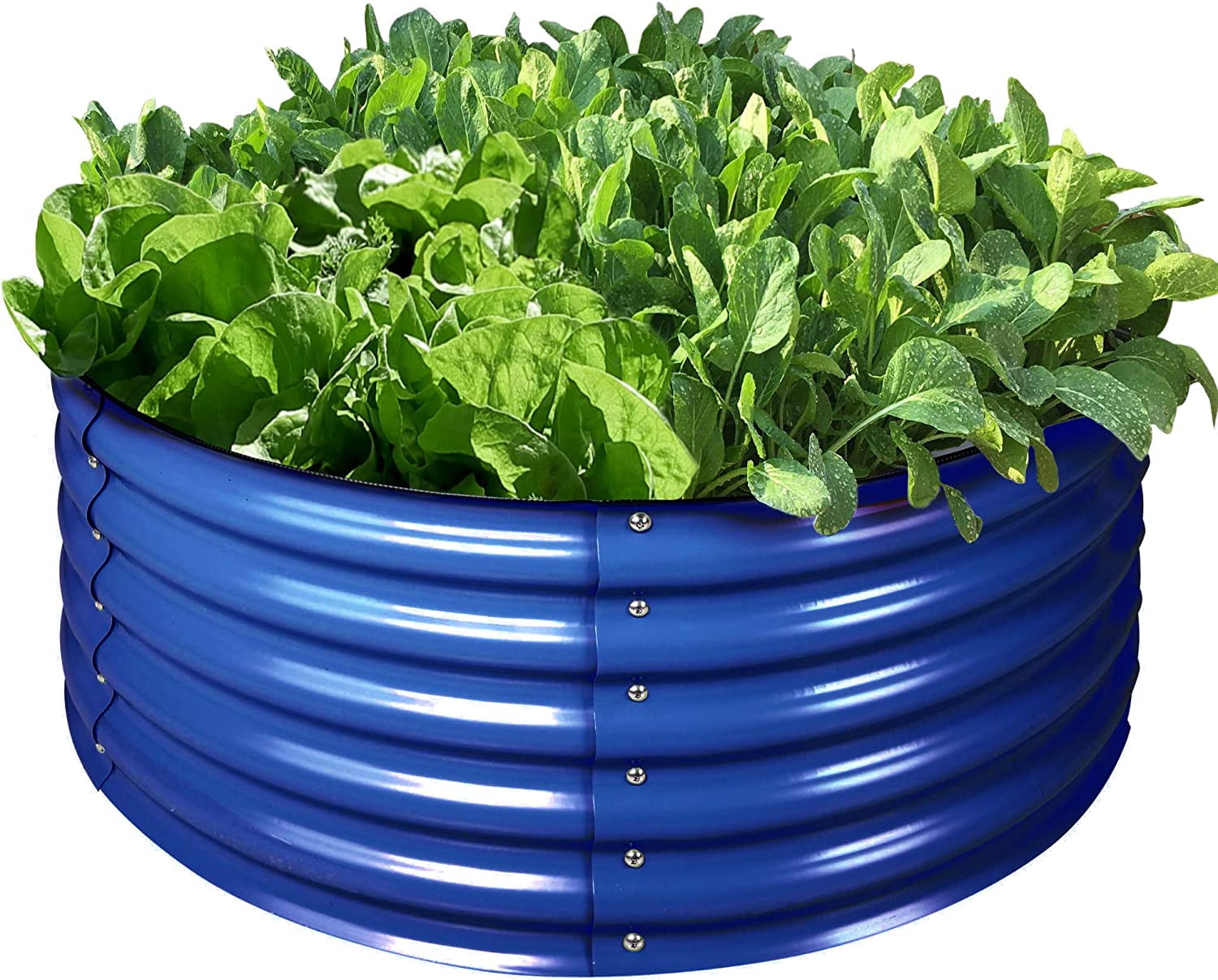 17" Tall, 42" Round Blue Raised Garden Bed Kit, Galvanized Metal Raised ...