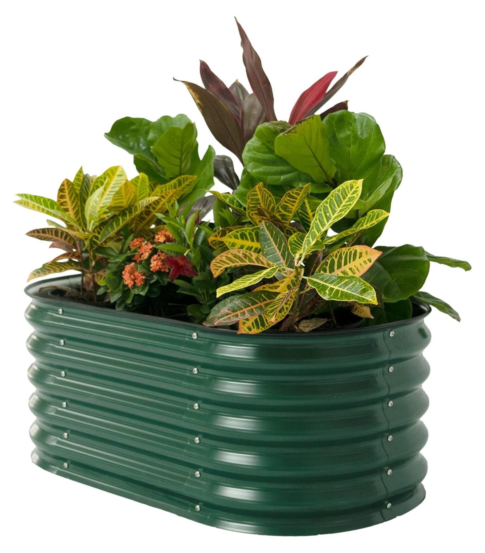 17" Tall Kids First Garden Bed 42" x 24" Raised Planter Box Outdoor ...