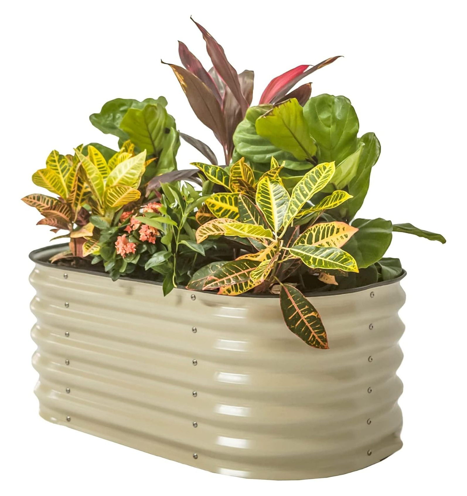 17" Tall Kids First Garden Bed 42" x 24" Raised Planter Box Outdoor ...