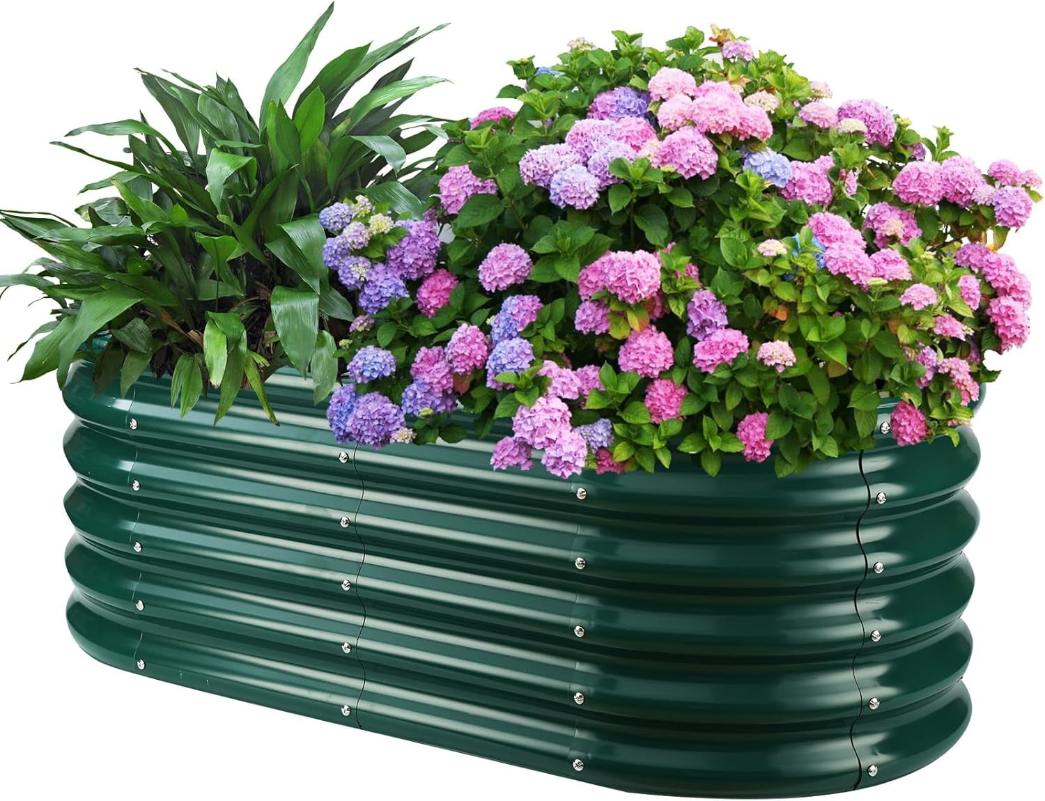 17" Tall Outdoor Garden Raised Garden Bed Kits, 4ft X 2ft Oval,0.8MM ...