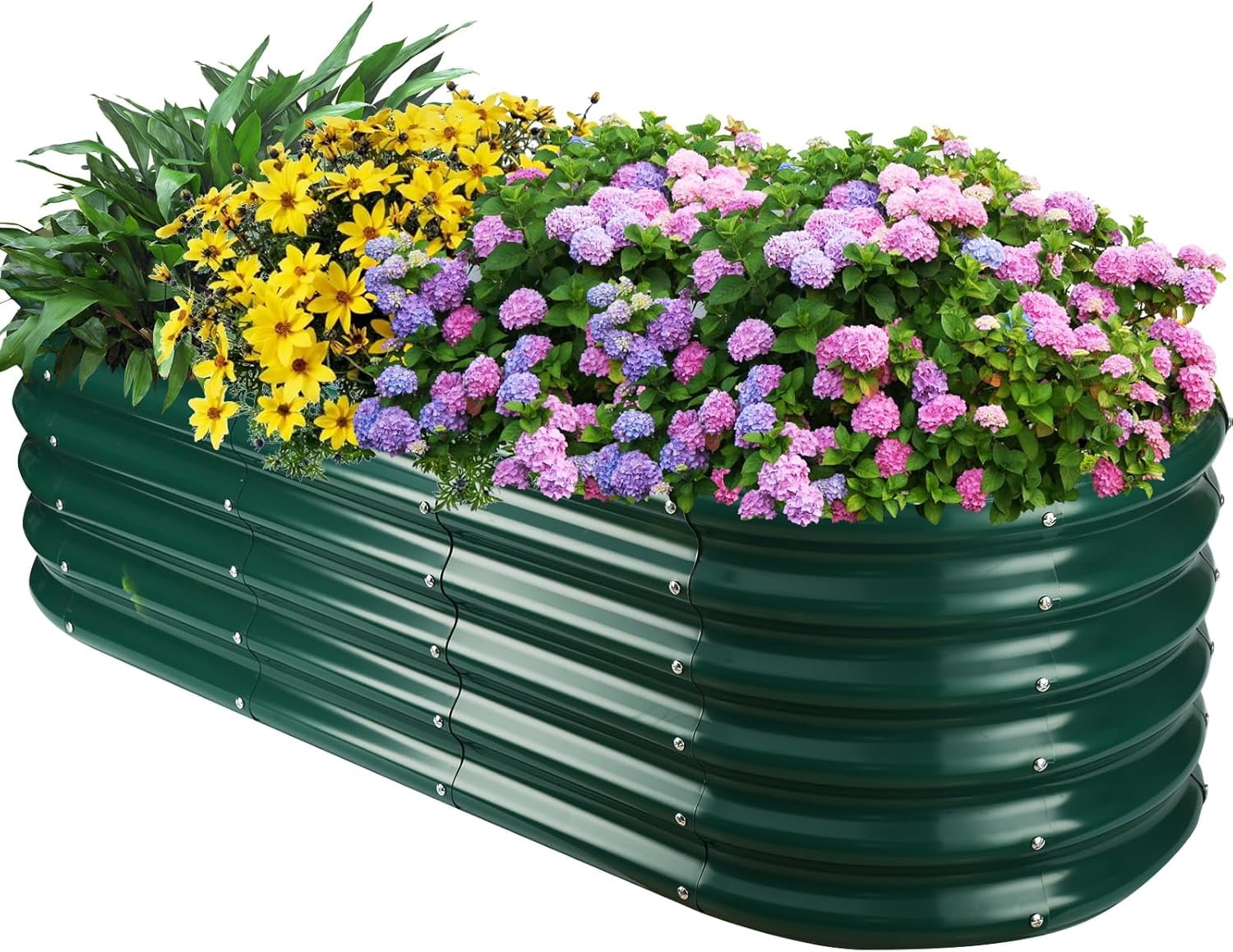 17" Tall Outdoor Garden Raised Garden Bed Kits,5ft X 2ft Oval,0.8MM ...