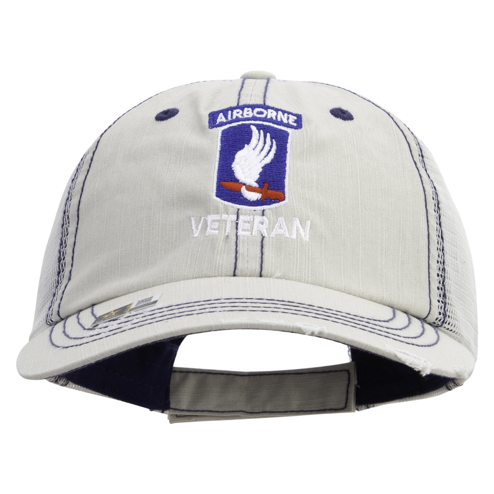 173rd Airborne Brigade Combat Team Veteran Embroidered Low Profile ...