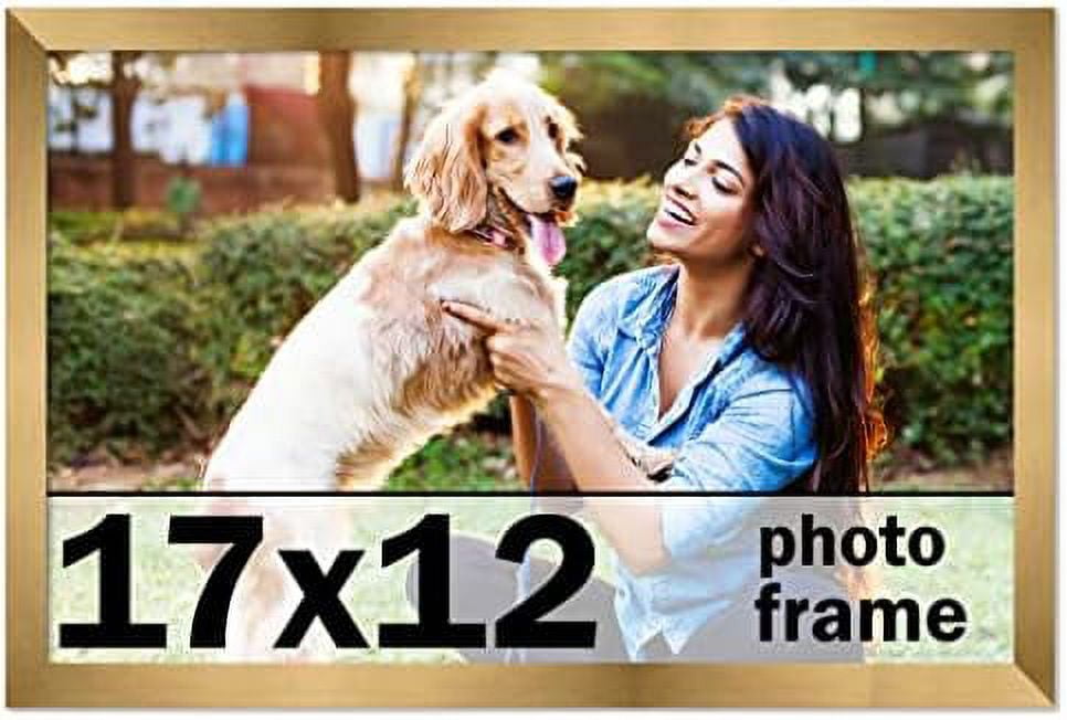17X12 Frame Bronze Picture Frame - Modern Photo Frame Includes UV Guard ...
