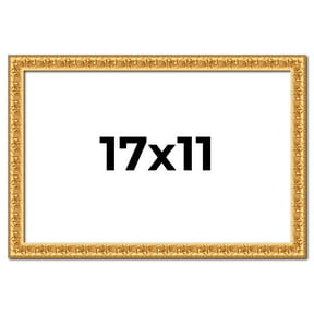17x11 Poster Frames