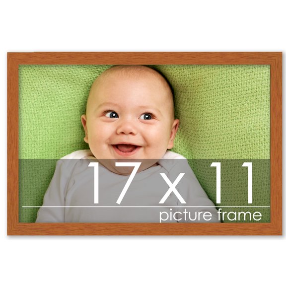 17x11 Poster Frames