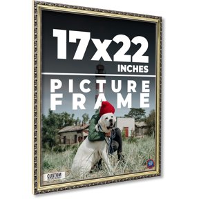 Explore 17x22 Frames in Multiple Styles and Colors for Your Space
