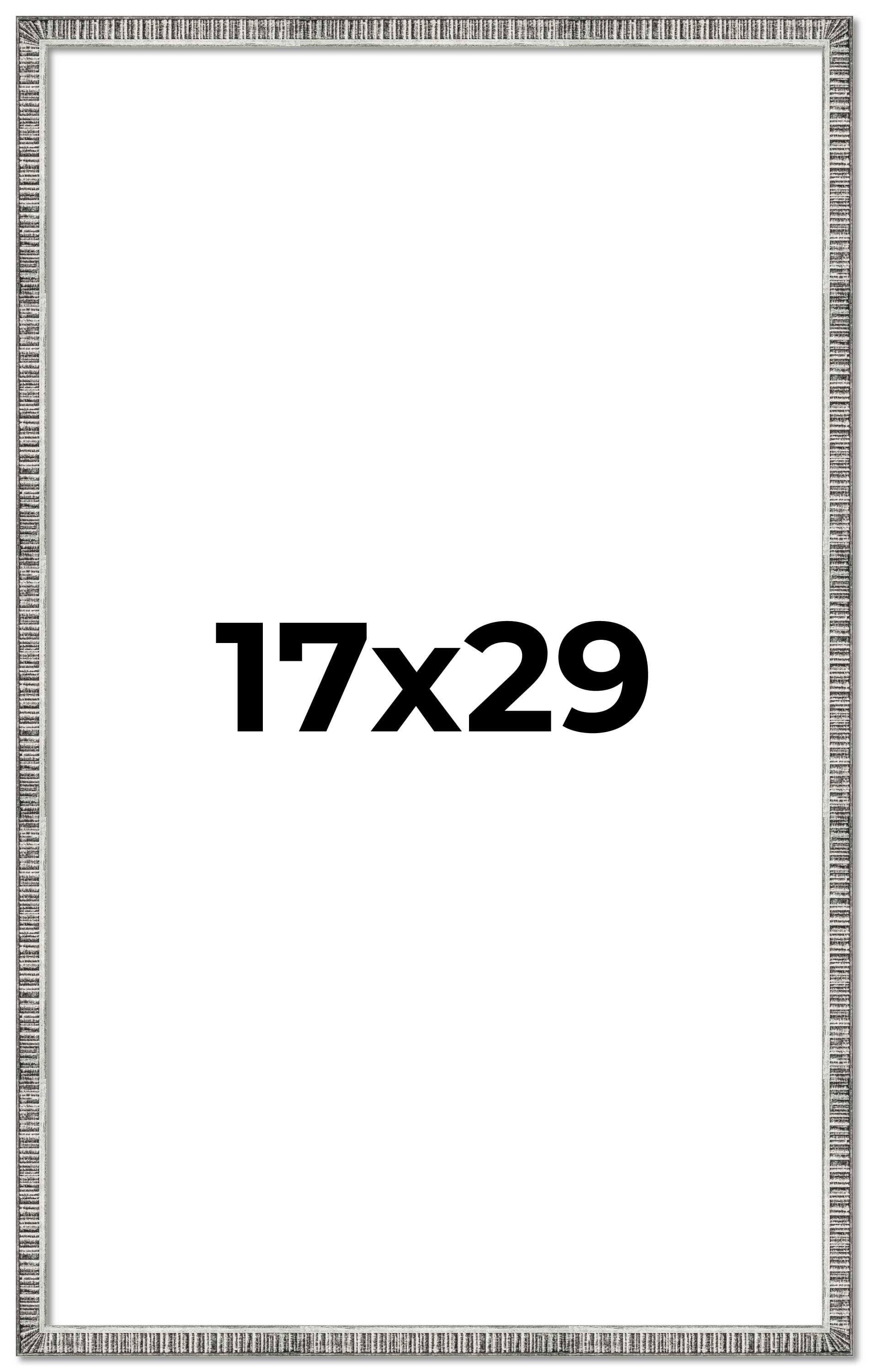 17x29 Frame Silver Picture Frame - Complete Modern Photo Frame Includes ...