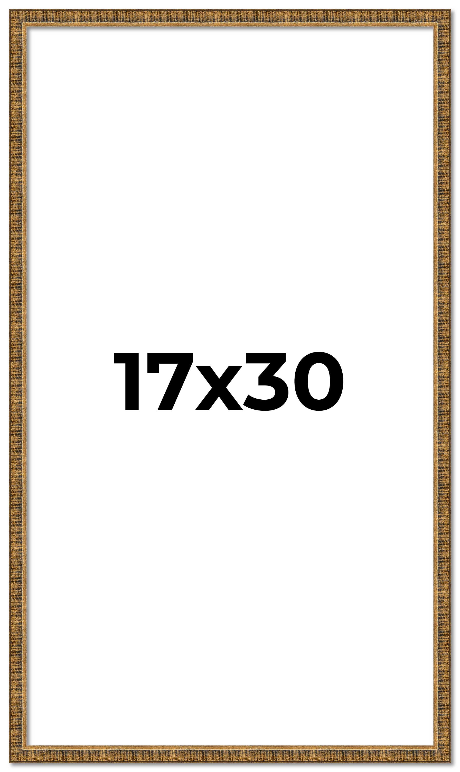 17x30 Frame Gold Picture Frame - Complete Modern Photo Frame Includes ...