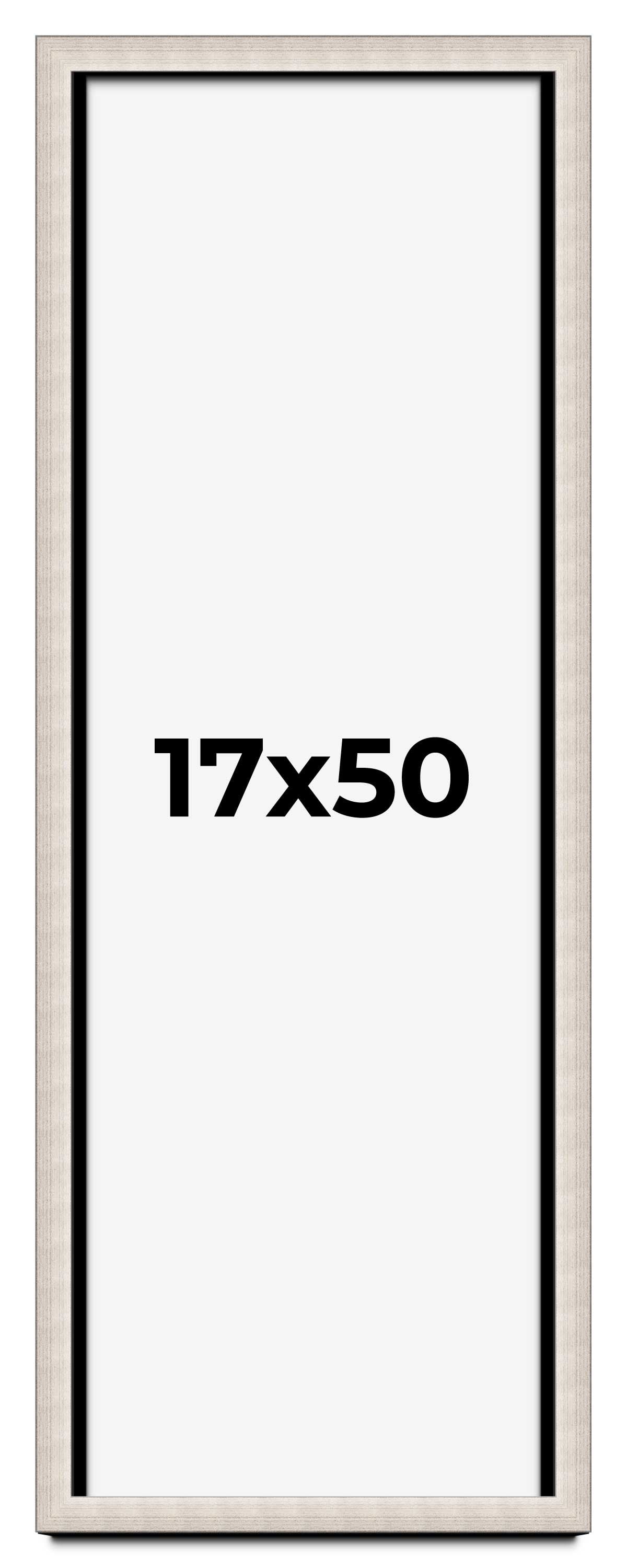 17x50 Shadow Box Brushed Silver | 1.5 Inch Deep | 1.25 Inch Moulding ...