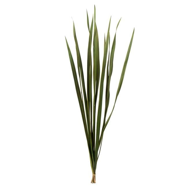 18-30 in. Basil Snake Grass Stems with 12 oz Bundle - Walmart.com