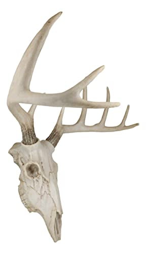 18.5L 10 Point Buck Head Wall Mount Resin Stag Deer Skull Antler Rack ...